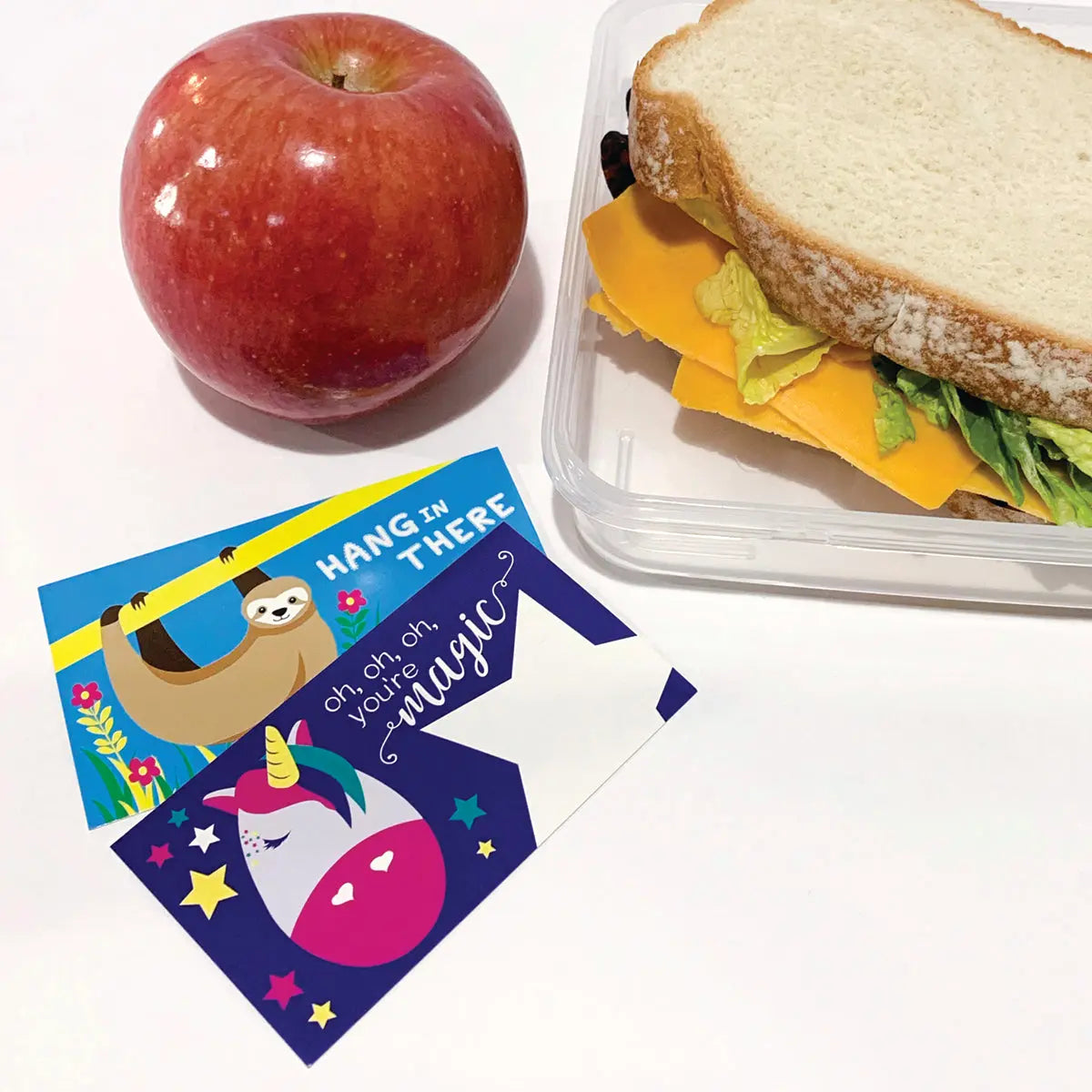 Lunch Box Notes (24 Full Color Designs) - WAFF World Gifts Inc.